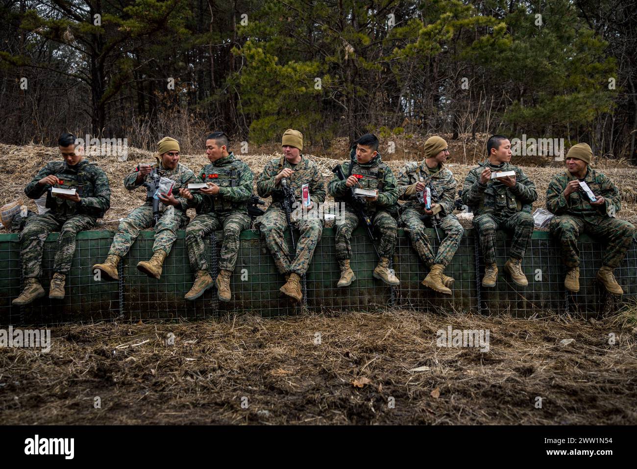 U.S. and Republic of Korea Marines eat and exchange meal rations with ...