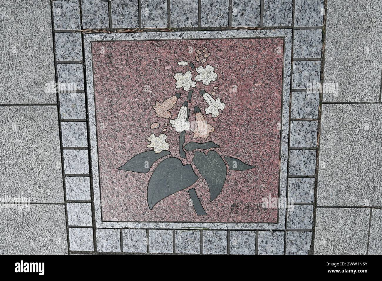 Princess tree (Paulownia tomentosa) artwork representing Iwate ...