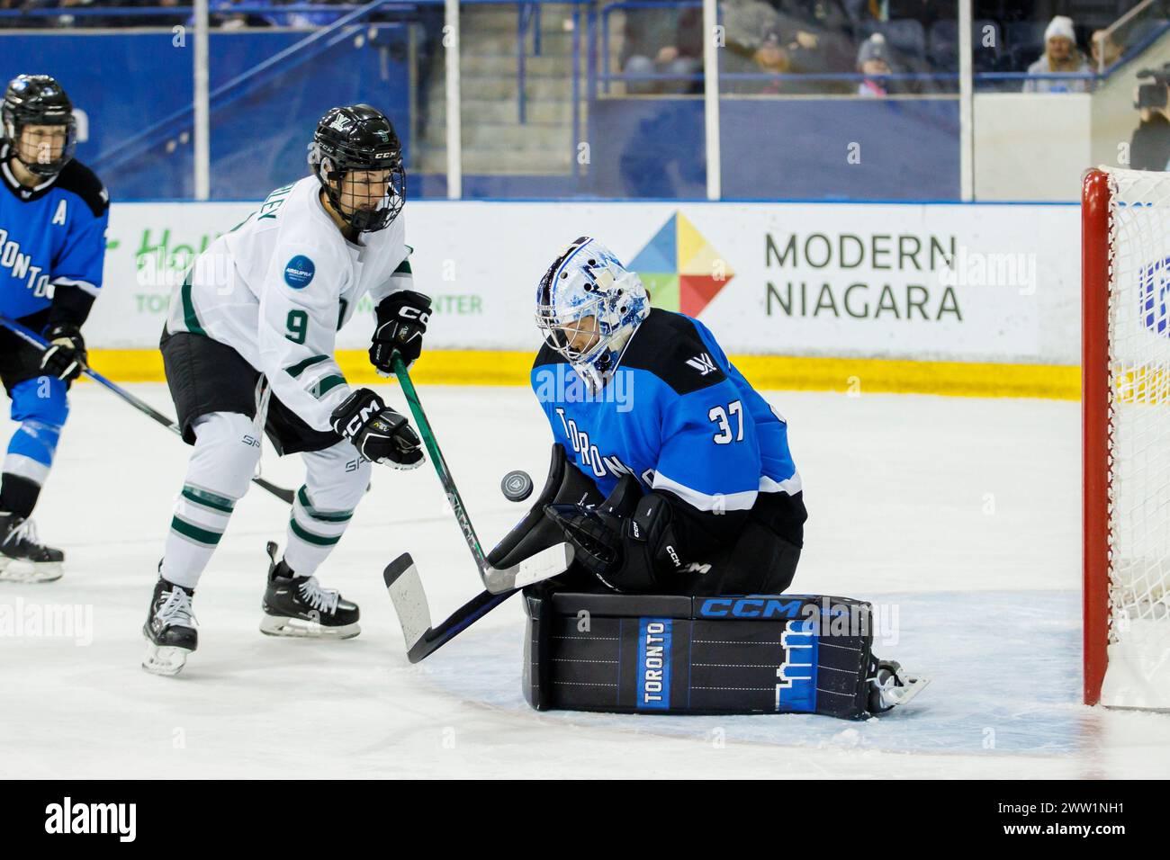 Toronto, Canada. 20th Mar, 2024. March 20, 2024, Toronto, On, Canada ...