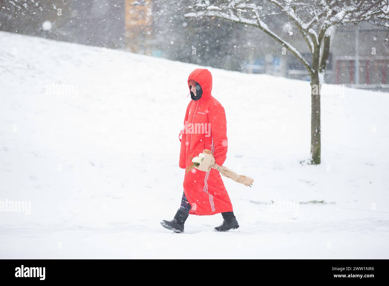 Red snow jacket hi-res stock photography and images - Alamy
