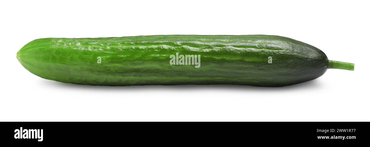 One long fresh cucumber isolated on white Stock Photo - Alamy