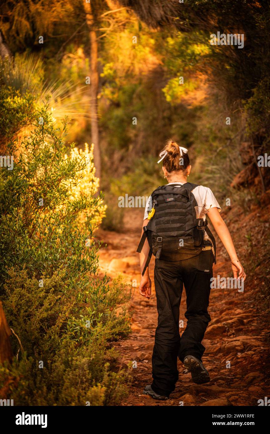 A hiker walks a serene trail amidst golden-hour light Stock Photo - Alamy