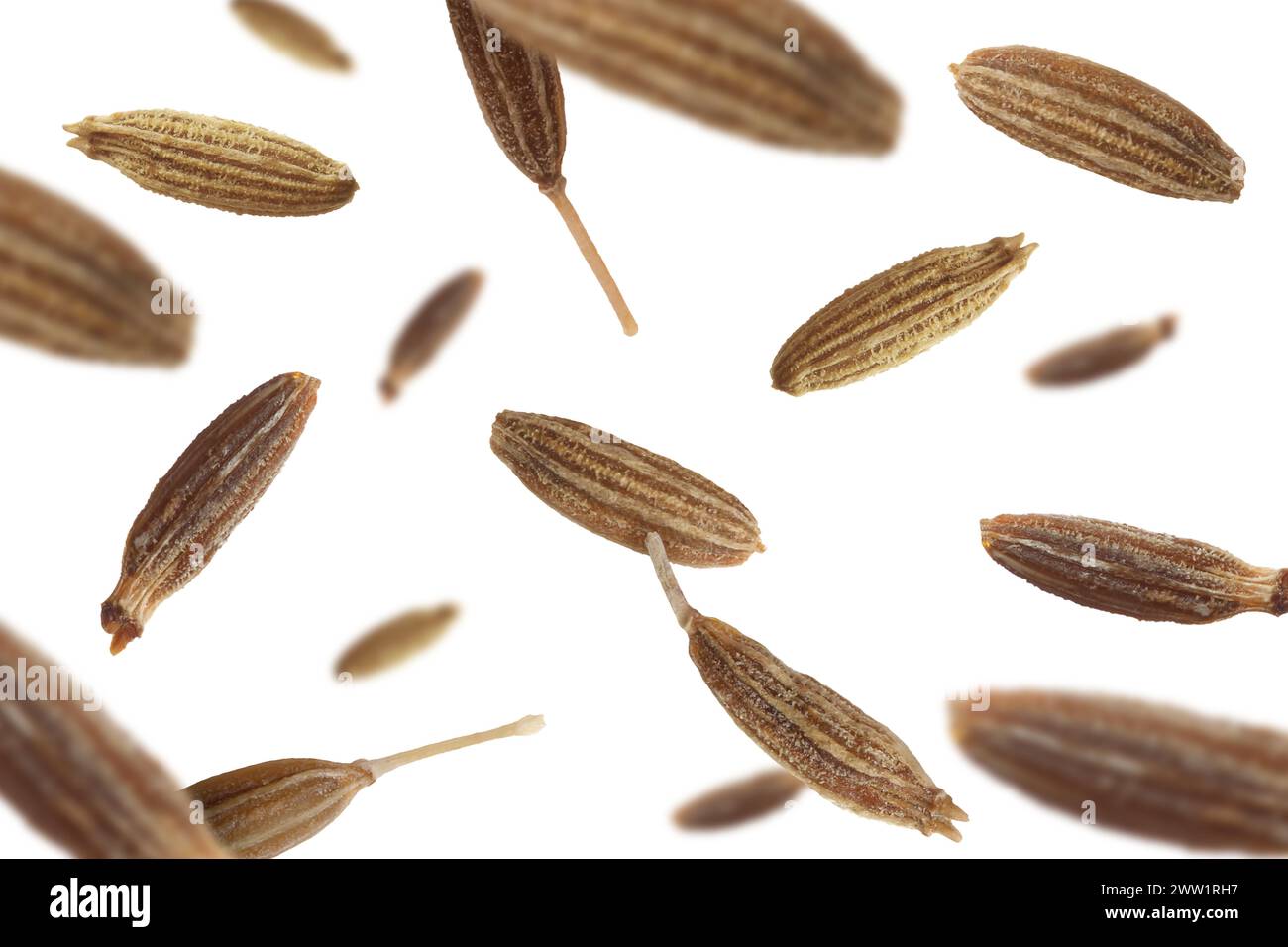Many cumin seeds falling on white background Stock Photo - Alamy