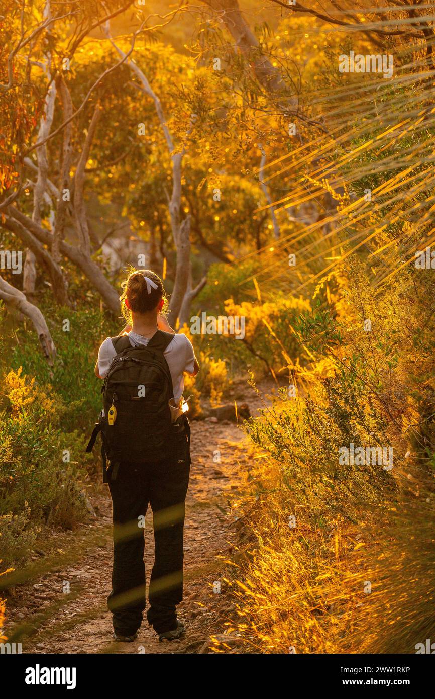 A lone hiker walks on a secluded trail at dusk Stock Photo - Alamy