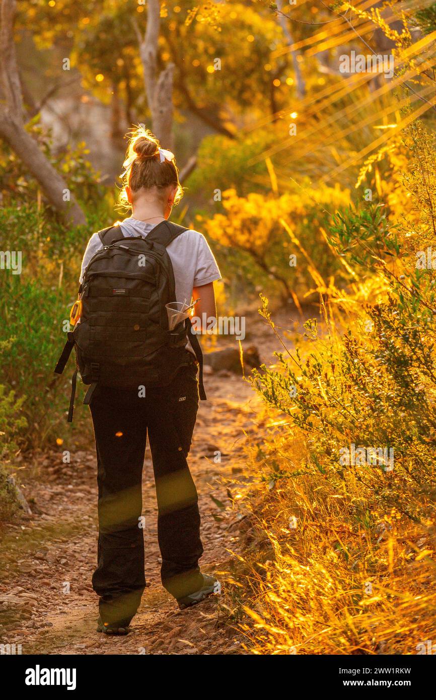 An explorer heads towards the sunset on a secluded bush trail Stock ...