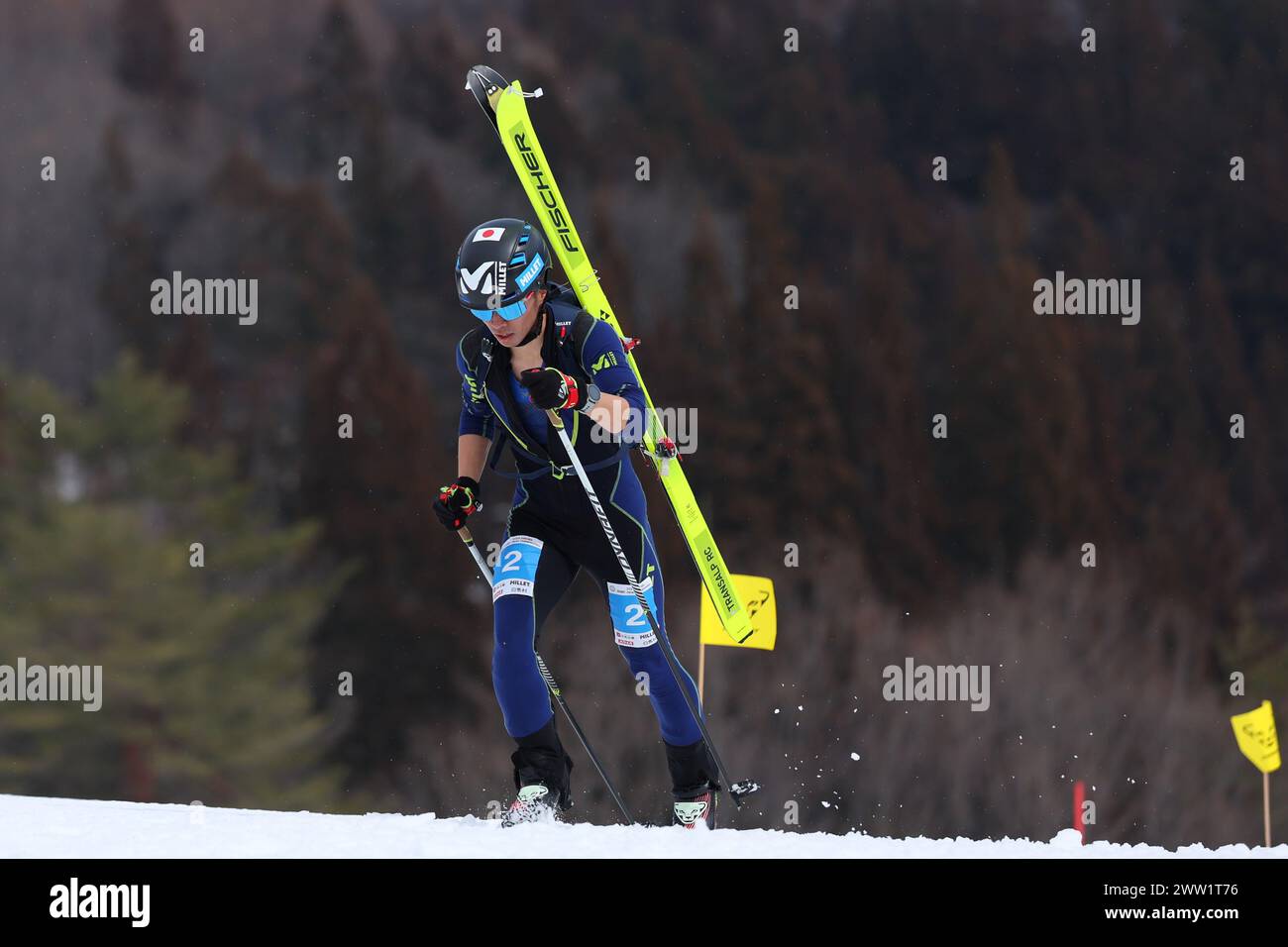 Nagano, Japan. 17th Mar, 2024. Kenta Endo Ski Mountaineering : SKIMO ...