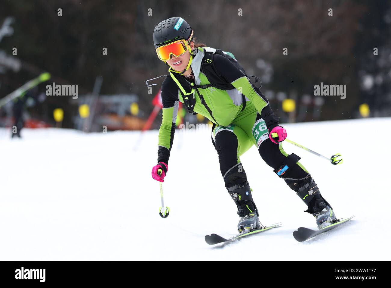 Nagano, Japan. 17th Mar, 2024. Satomi Aoki Ski Mountaineering : SKIMO ...