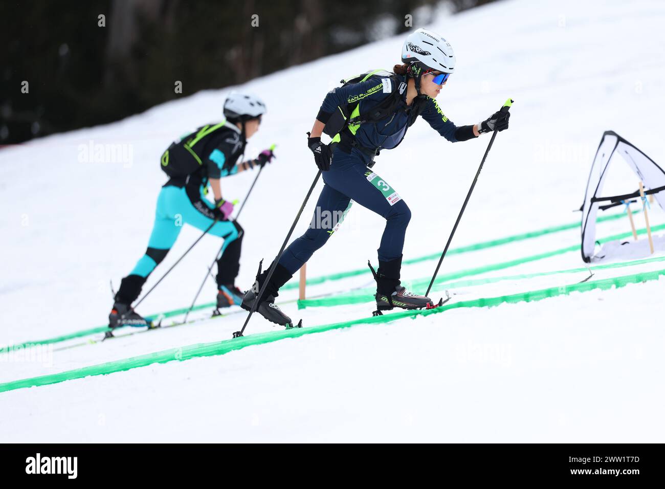 Nagano, Japan. 17th Mar, 2024. Natsumi Usui Ski Mountaineering : SKIMO ...