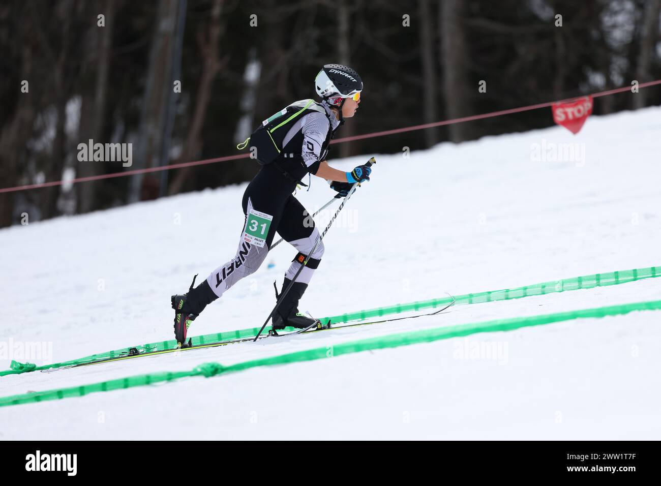 Nagano, Japan. 17th Mar, 2024. Sora Takizawa Ski Mountaineering : SKIMO ...