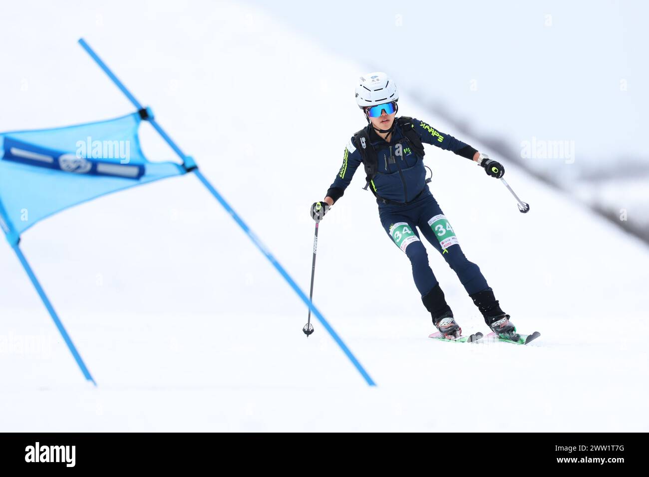 Nagano, Japan. 17th Mar, 2024. Natsumi Usui Ski Mountaineering : SKIMO ...