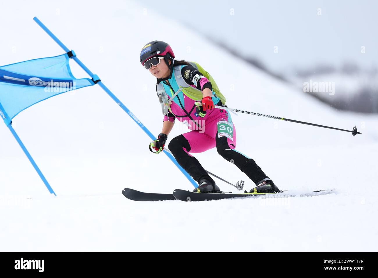 Nagano, Japan. 17th Mar, 2024. Yurie Tanaka Ski Mountaineering : SKIMO ...
