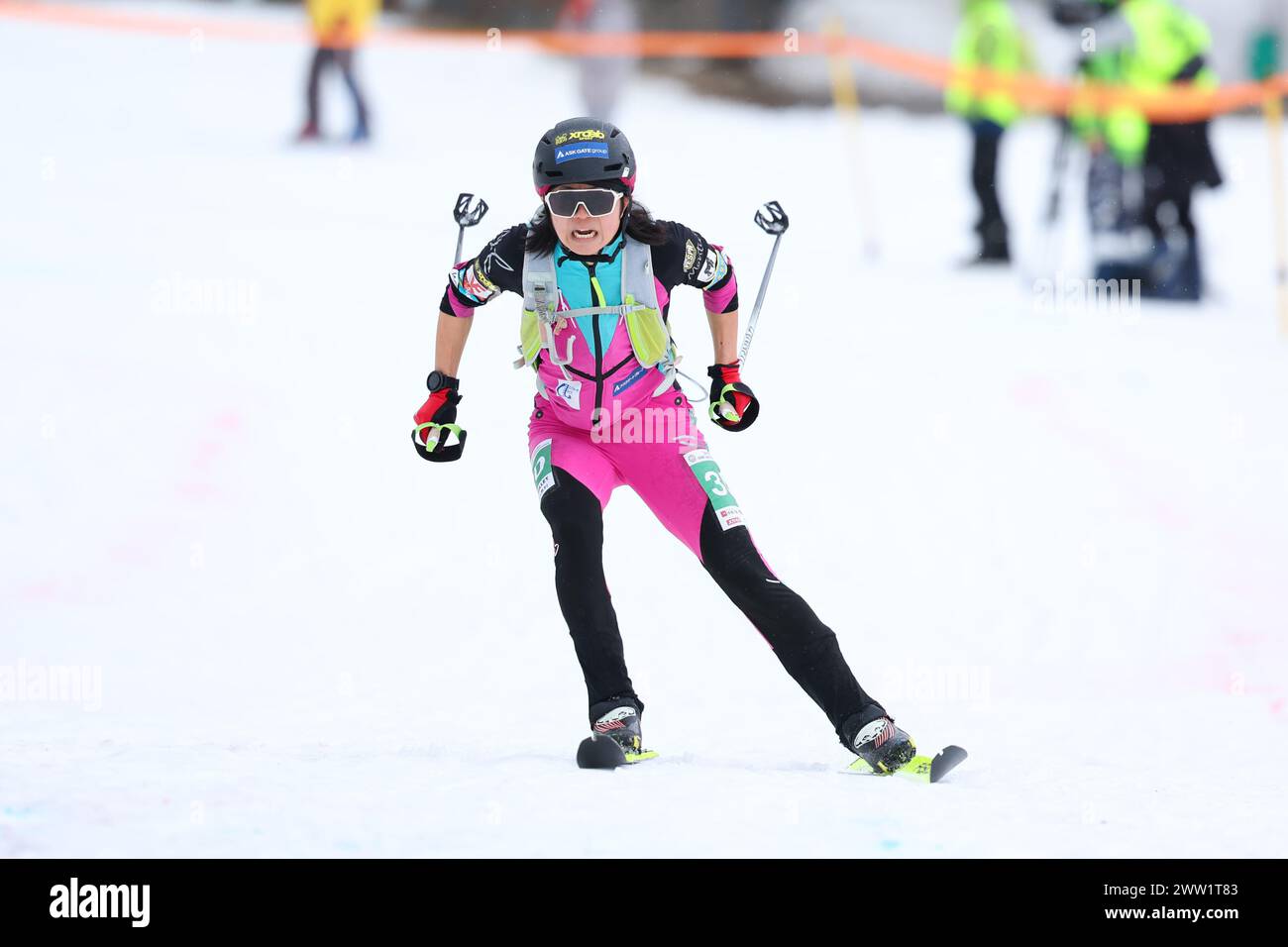 Nagano, Japan. 17th Mar, 2024. Yurie Tanaka Ski Mountaineering : SKIMO ...