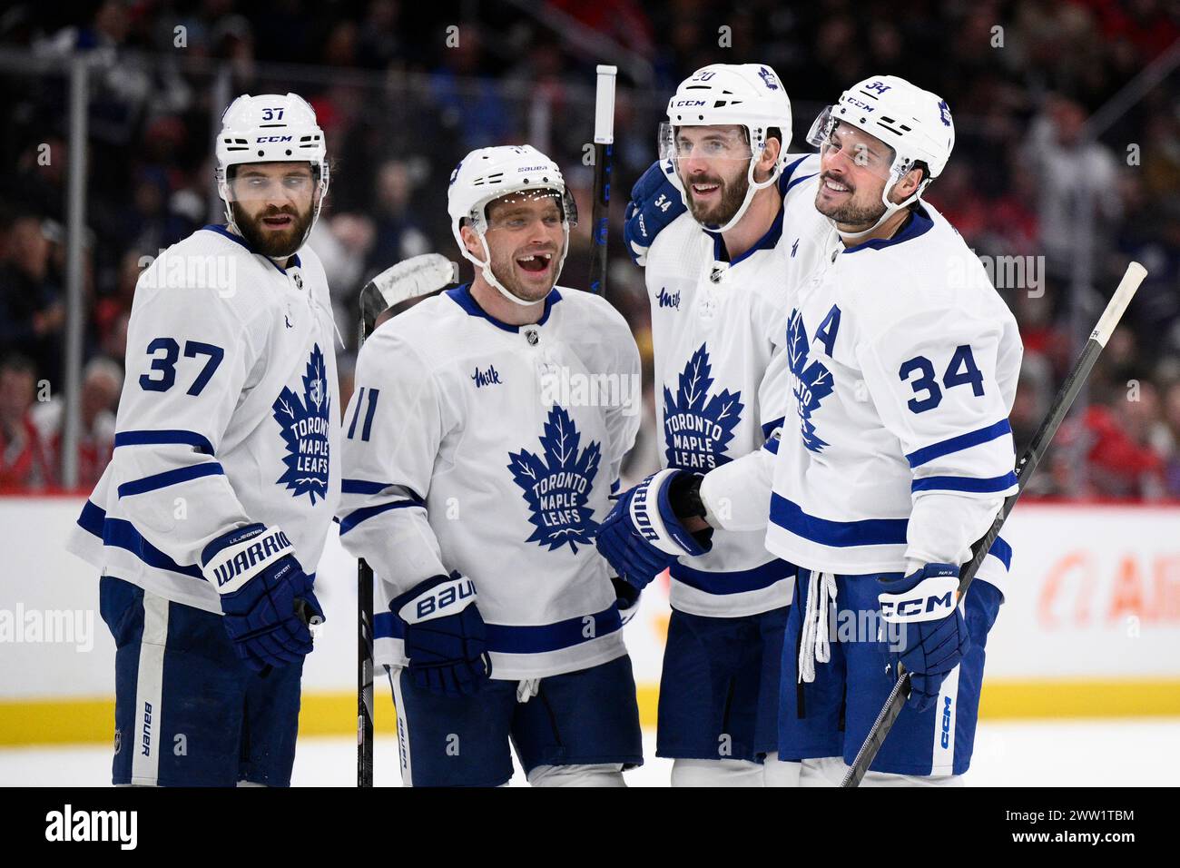 Toronto Maple Leafs center Auston Matthews (34) celebrates his goal ...