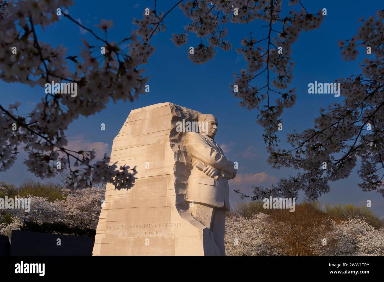 The Martin Luther King (MLK) Monument as the peak of the Cherry ...