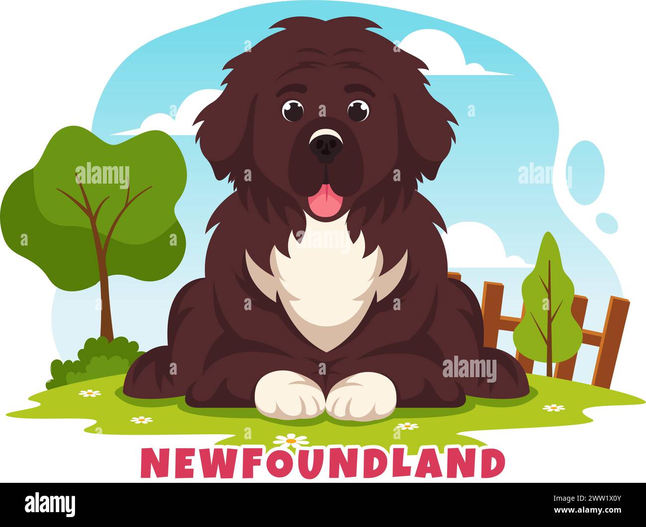 Newfoundland and labrador dog Cut Out Stock Images & Pictures - Alamy