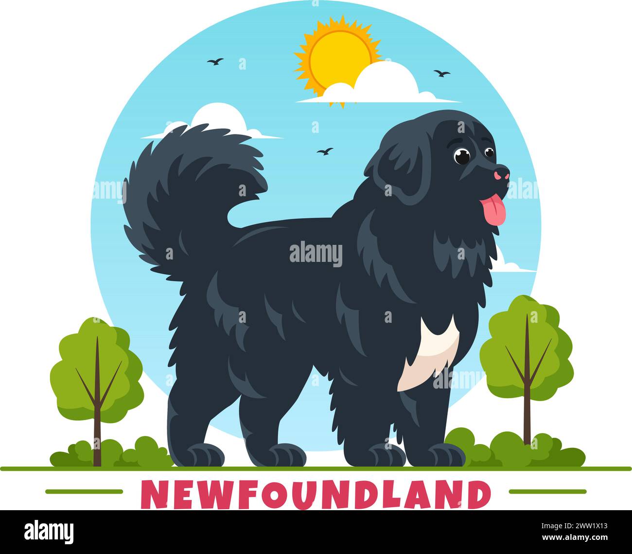 Newfoundland Dog Animals Vector Illustration with Black, Brown or ...