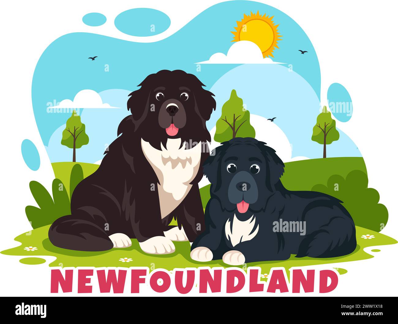 Newfoundland Dog Animals Vector Illustration with Black, Brown or ...