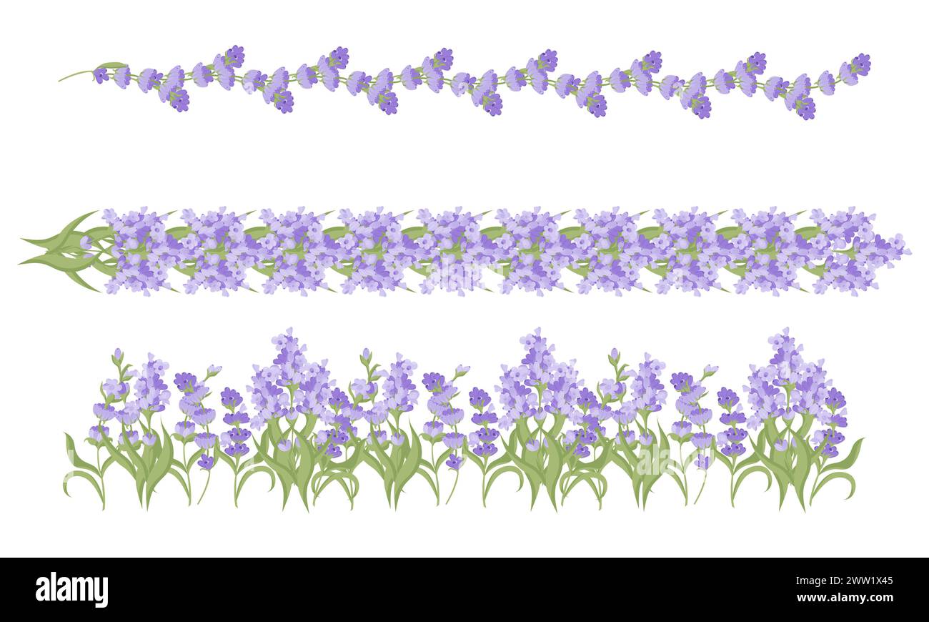 Set of decorative borders of lavender flowers for your design. Vector ...