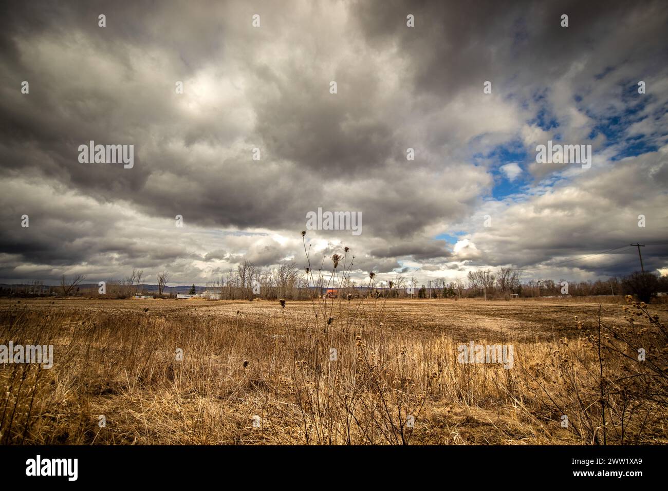 Wide field of early spring on a cloudy day Stock Photo - Alamy