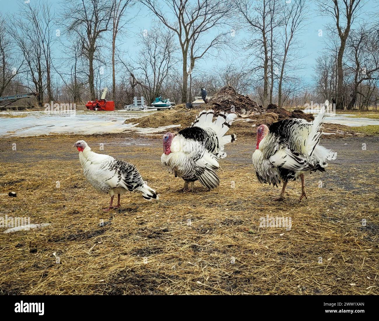 Birdwatchingtour hi-res stock photography and images - Alamy