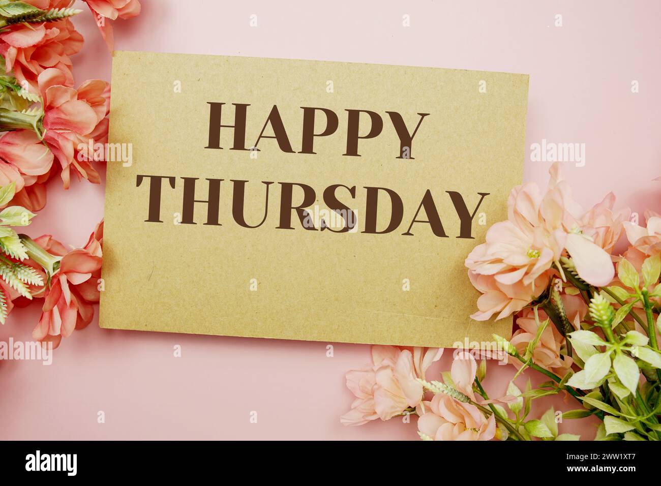 Happy Thursday typography text with flowers on pink background Stock ...