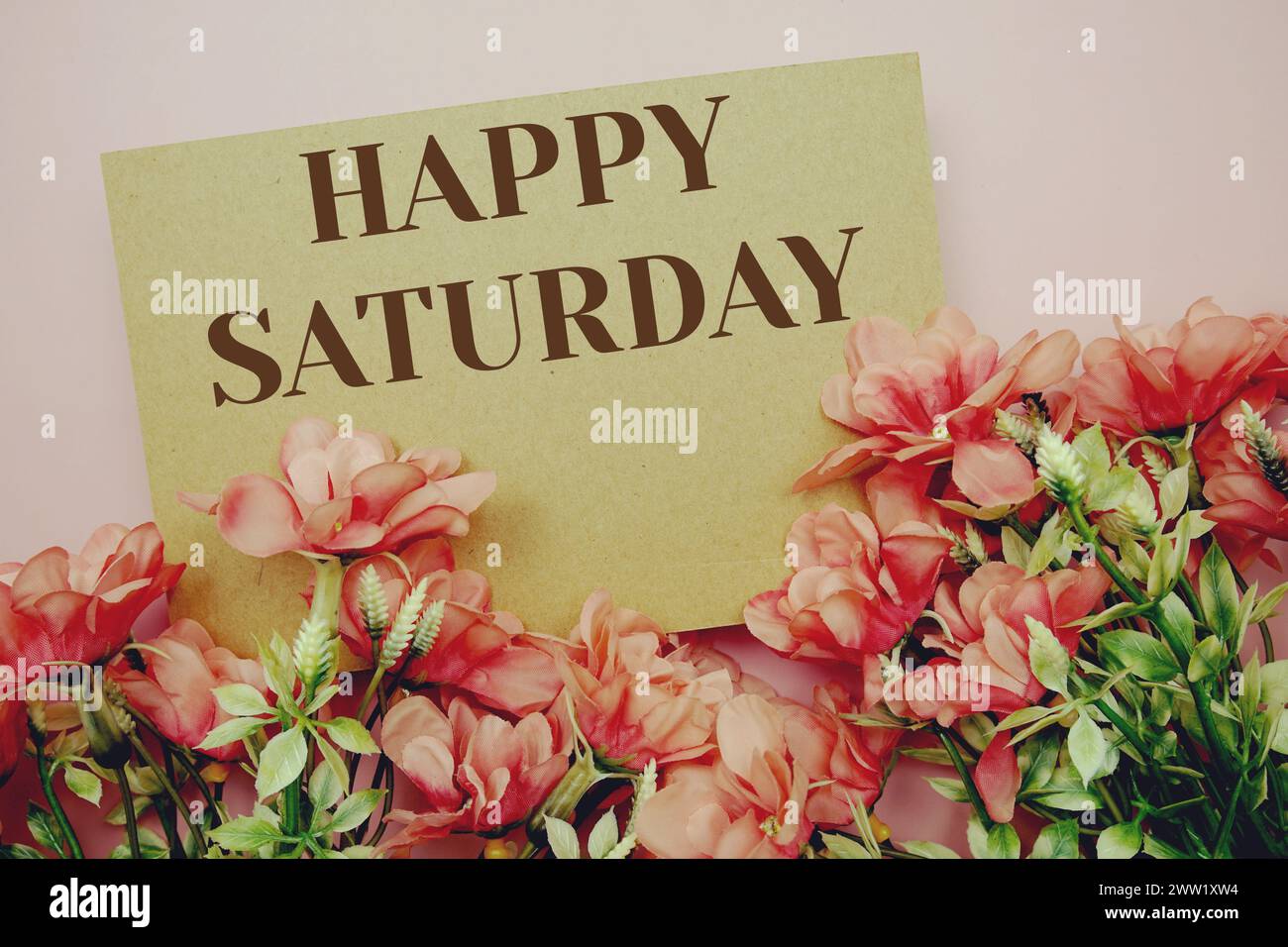 Happy Saturday typography text with flowers on pink background Stock ...