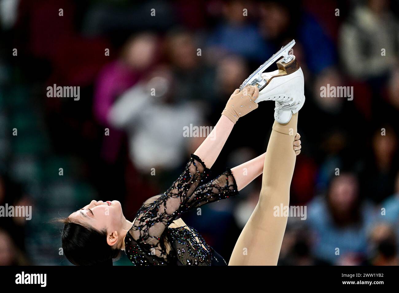 Mone chiba hi-res stock photography and images - Alamy