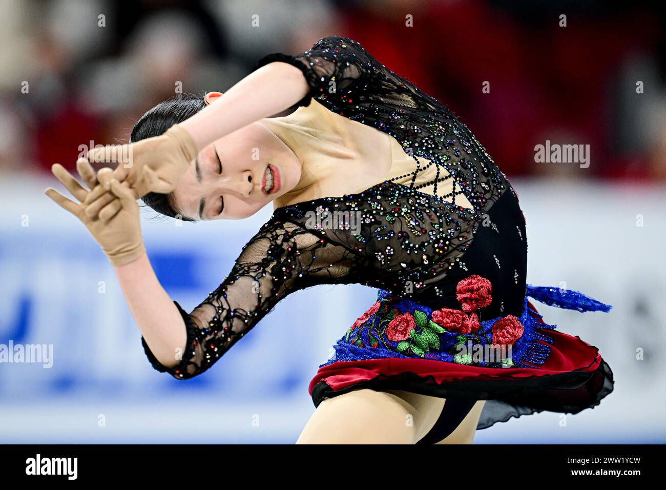 Mone chiba hi-res stock photography and images - Alamy