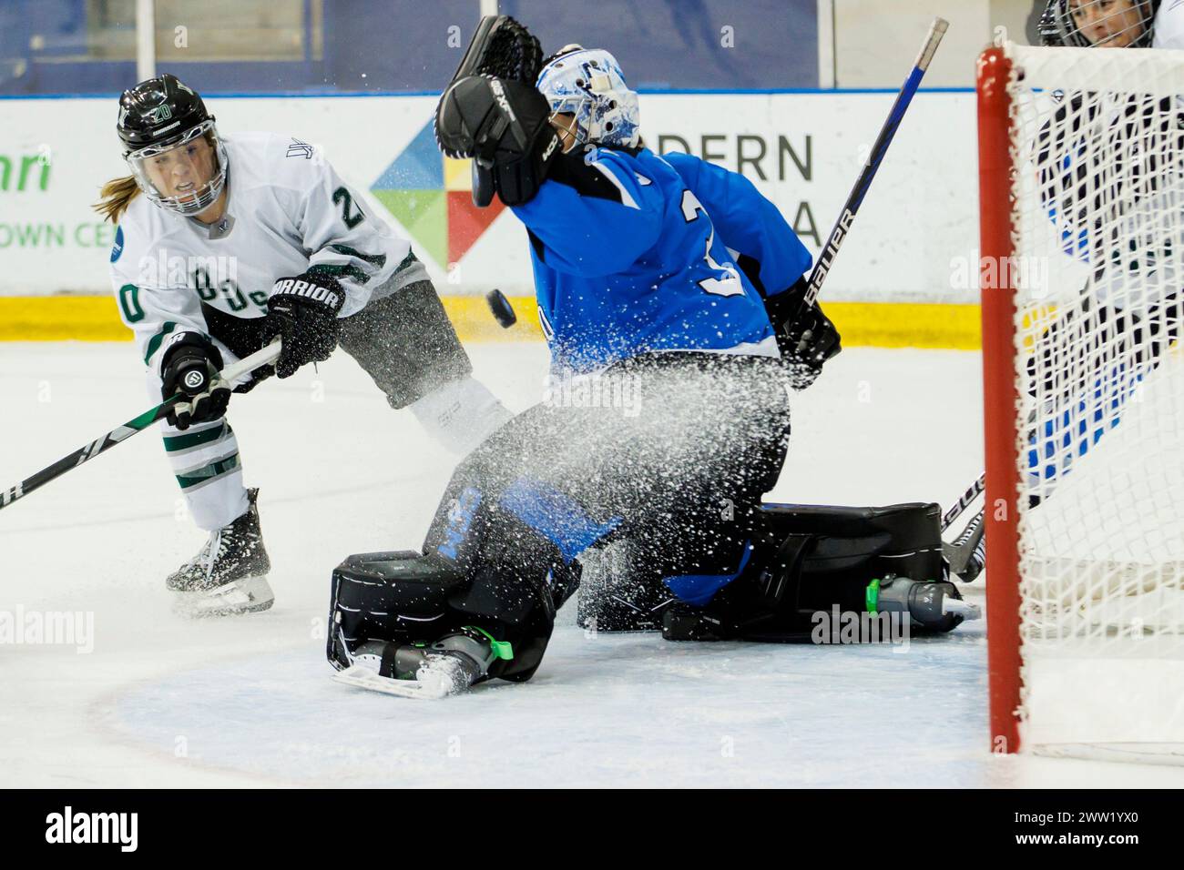 Toronto, Canada. 20th Mar, 2024. March 20, 2024, Toronto, On, Canada ...