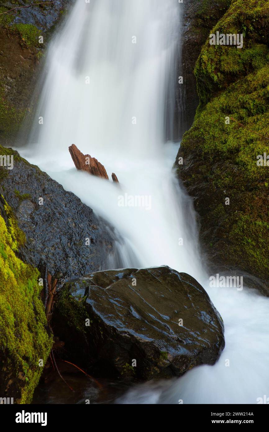Panther Creek Falls, Quartzville Creek Wild and Scenic River ...