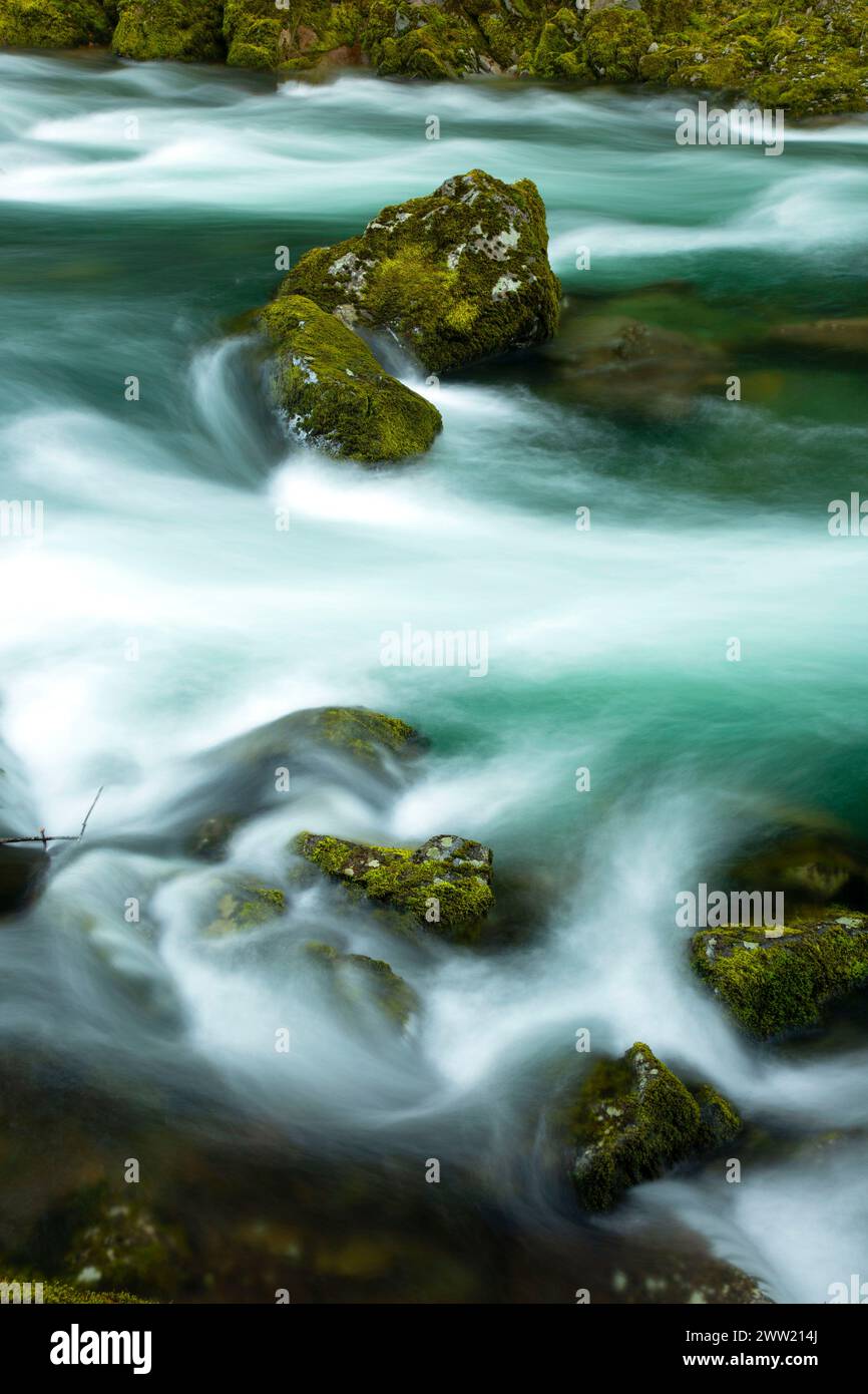 Quartzville Creek Wild and Scenic River, Quartzville National Back ...