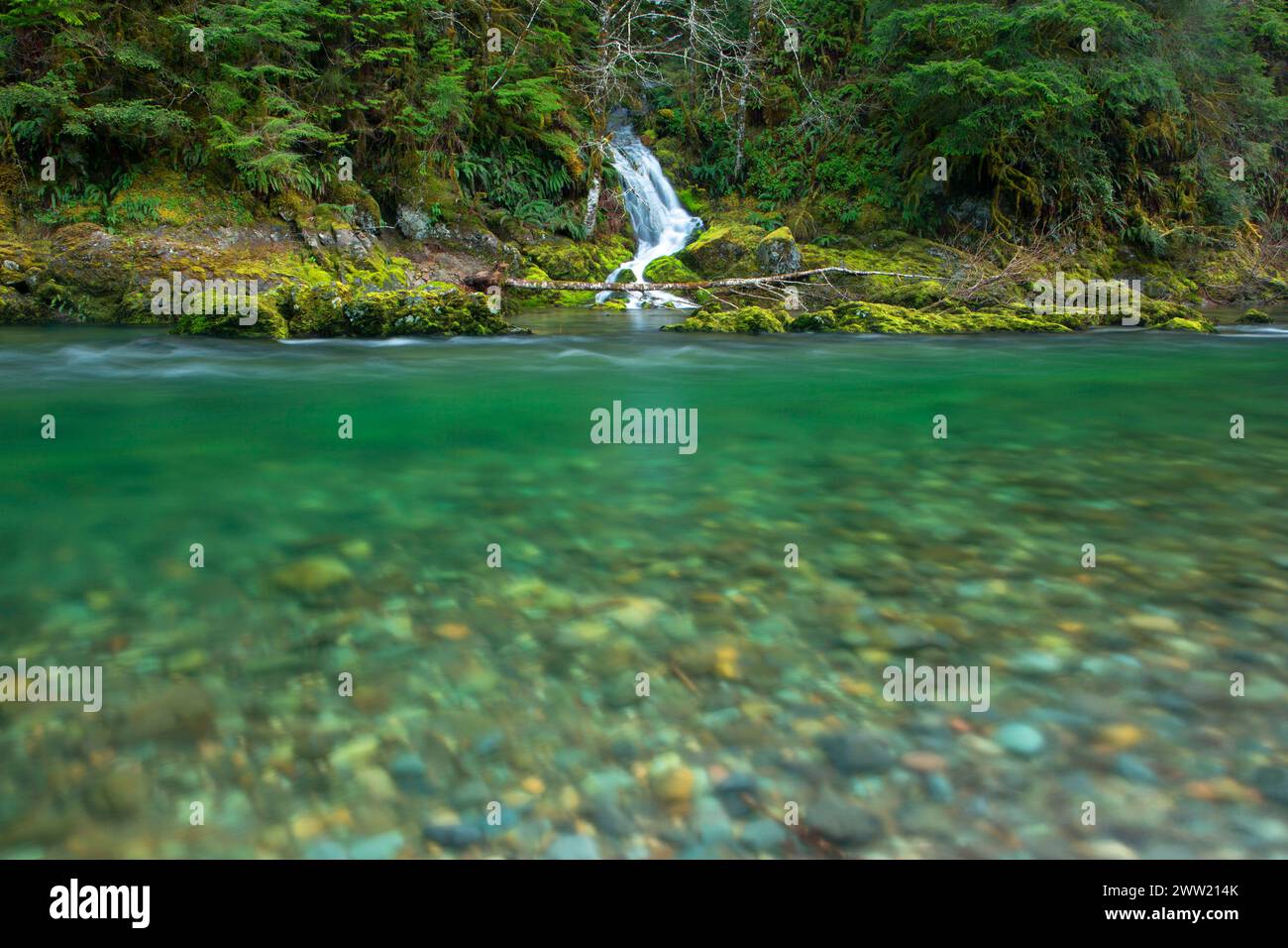 Quartzville Creek Wild and Scenic River, Quartzville National Back ...