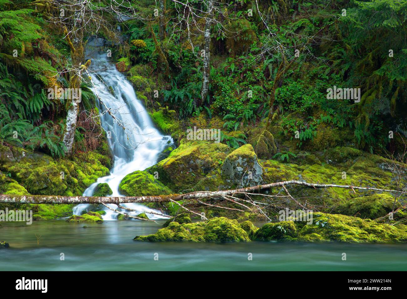 Quartzville Creek Wild and Scenic River, Quartzville National Back ...