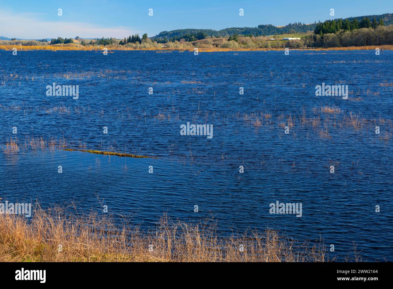 Wapato lake national wildlife refuge hi-res stock photography and ...