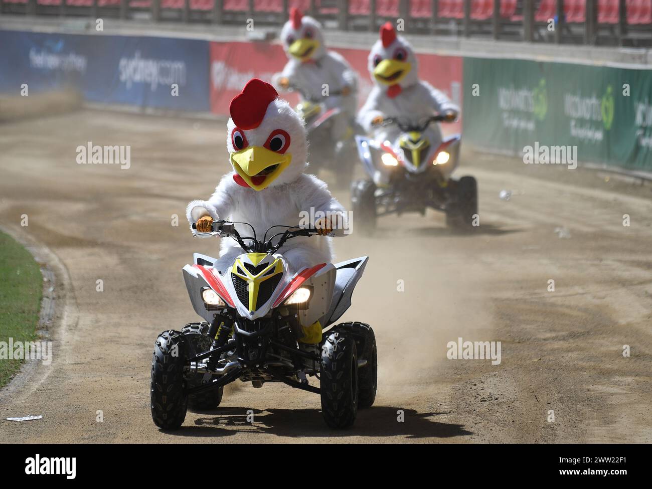 Sydney, Australia. 21st Mar, 2024. People wearing chicken suits drive ...