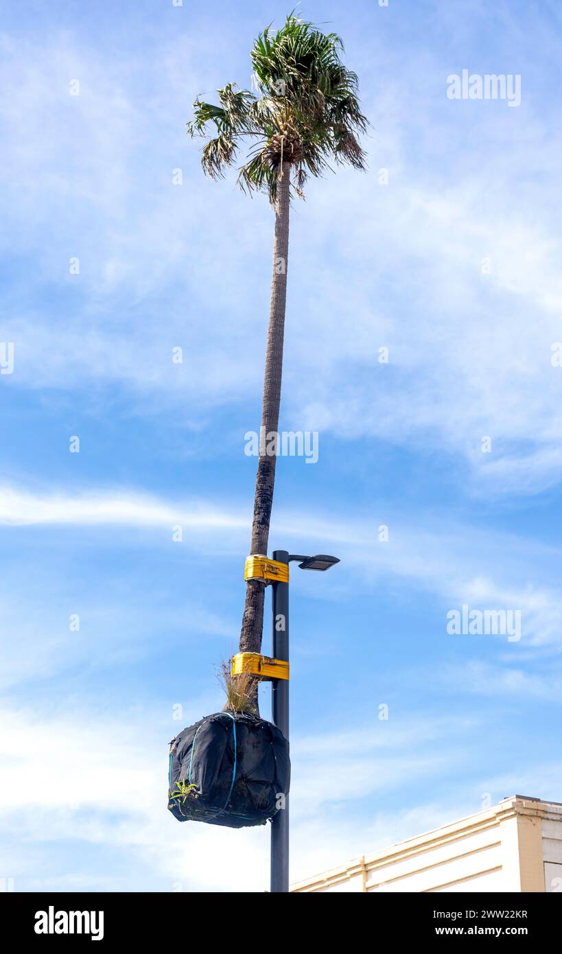 Postshopping hi-res stock photography and images - Alamy