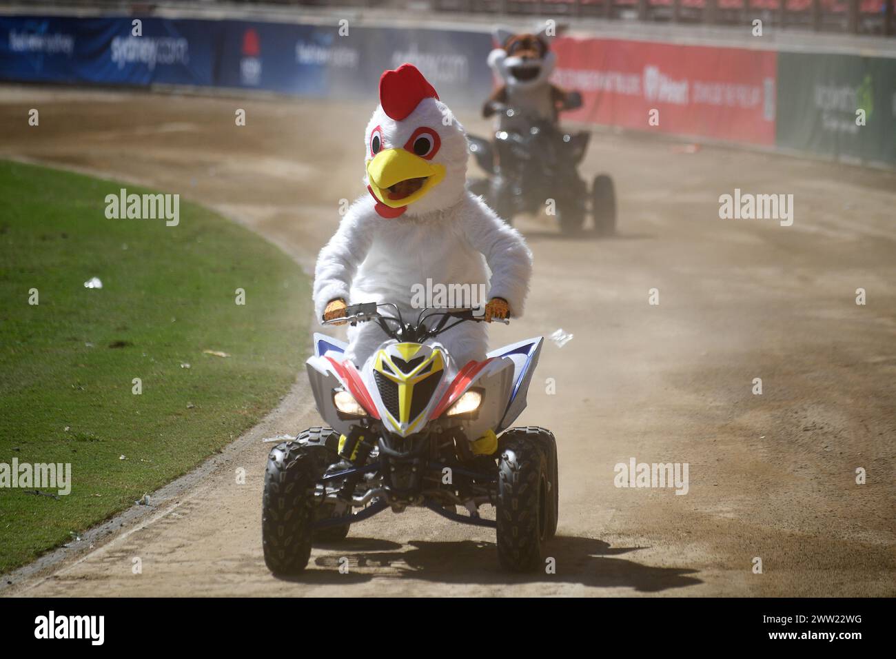 Sydney, Australia. 21st Mar, 2024. People wearing chicken suits drive ...