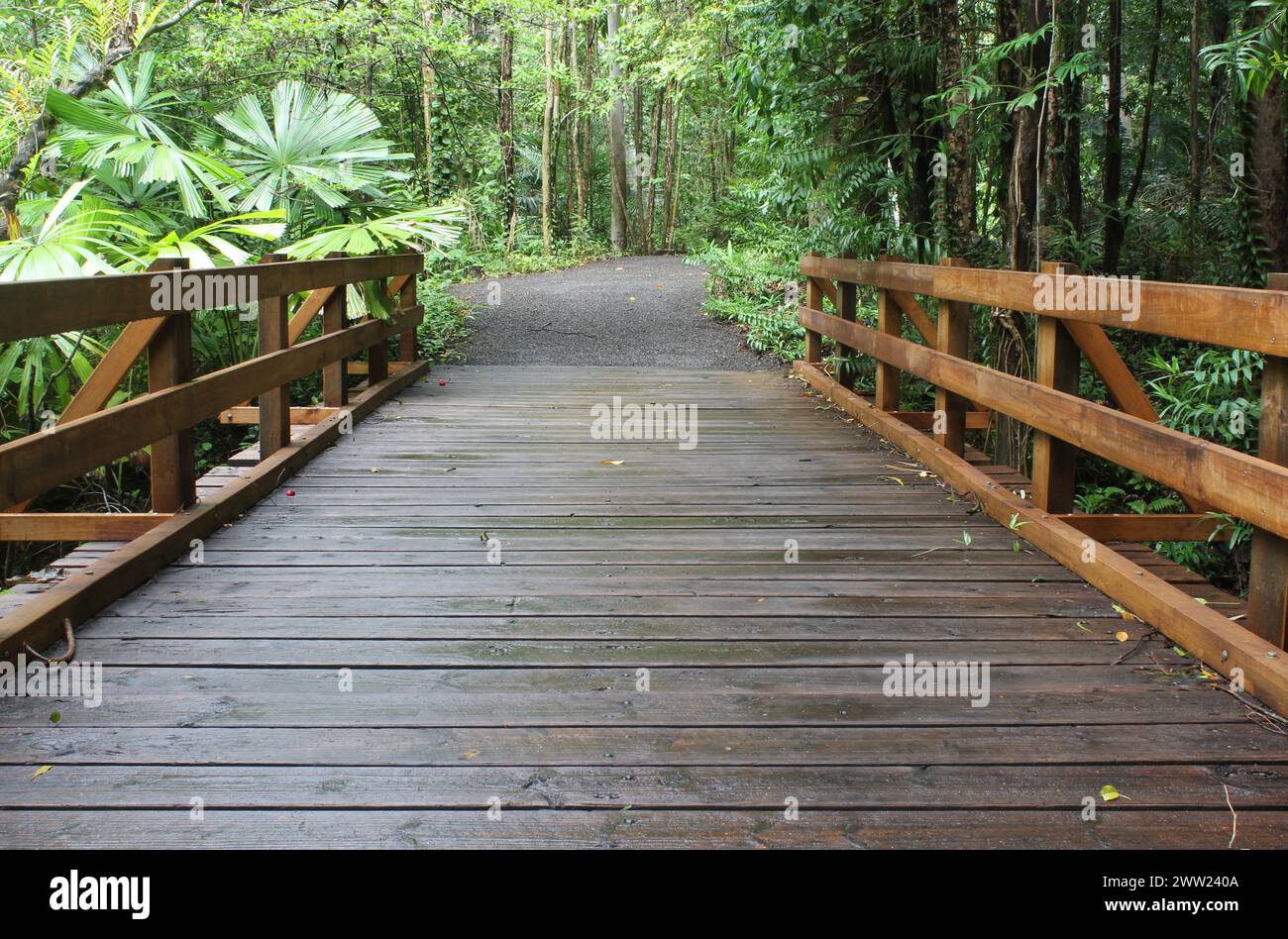 Wooden bridge at the Tondoon Botanic Gardens in Gladstone, Queensland ...