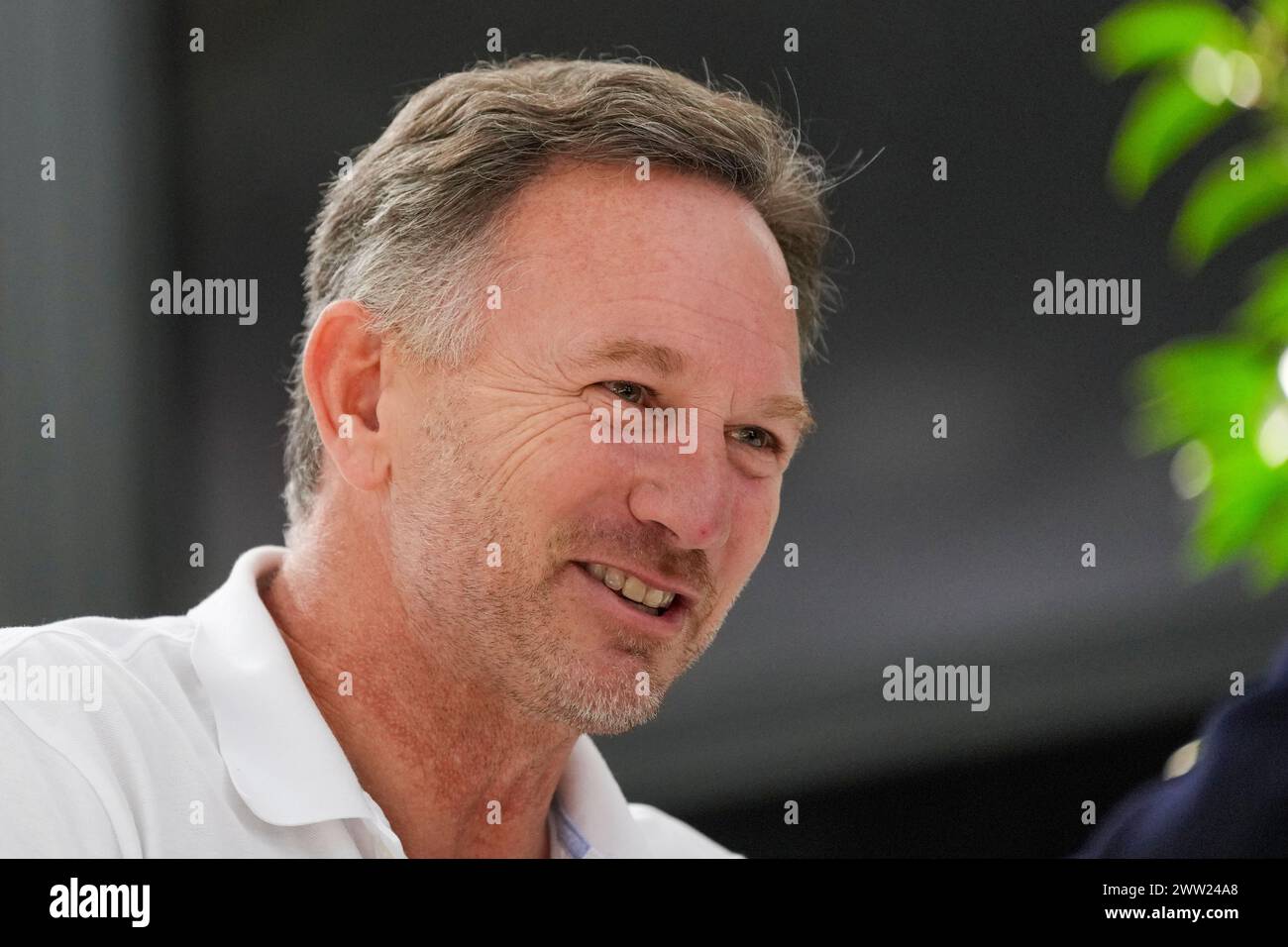 Red Bull team principal Christian Horner reacts ahead of the Australian ...