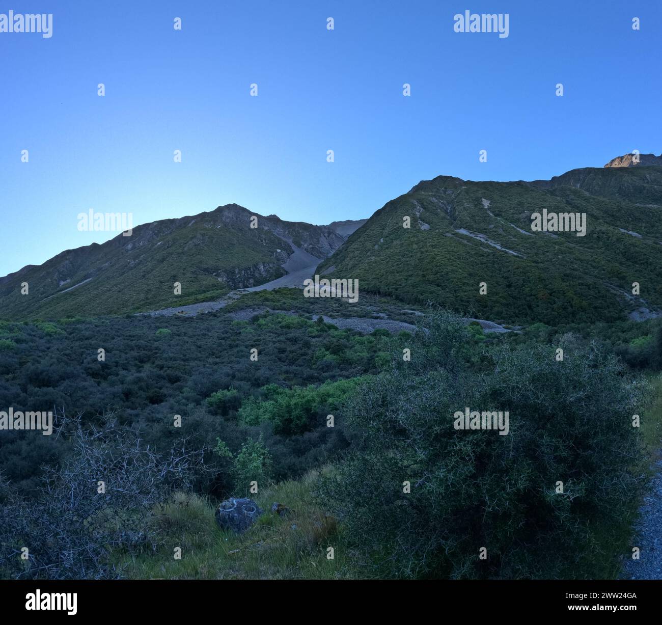 Ball Hut Route is a nice track with views of the Tasman Glacier and ...