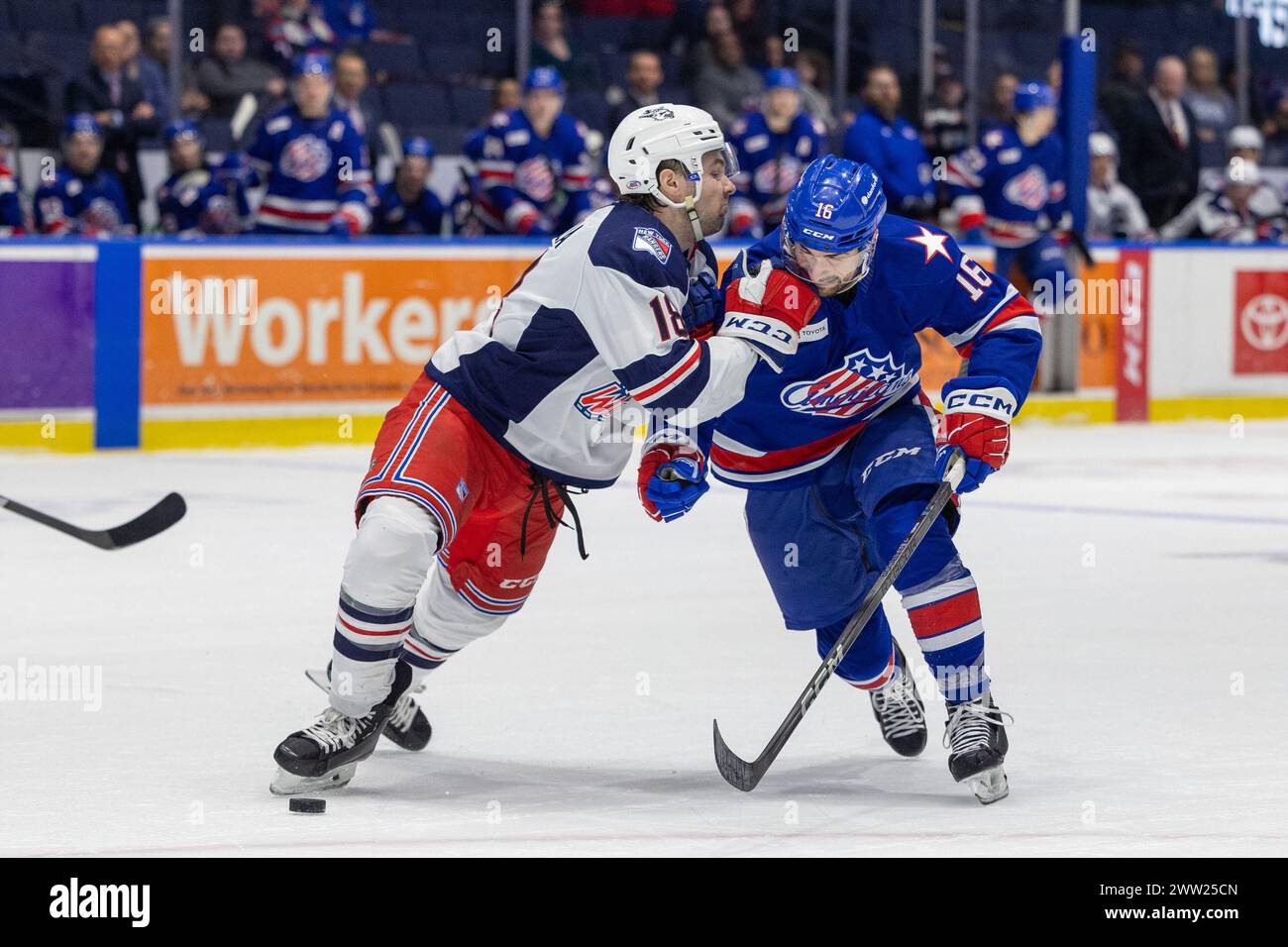 March 20th, 2024: Rochester Americans forward Justin Richards (16 ...