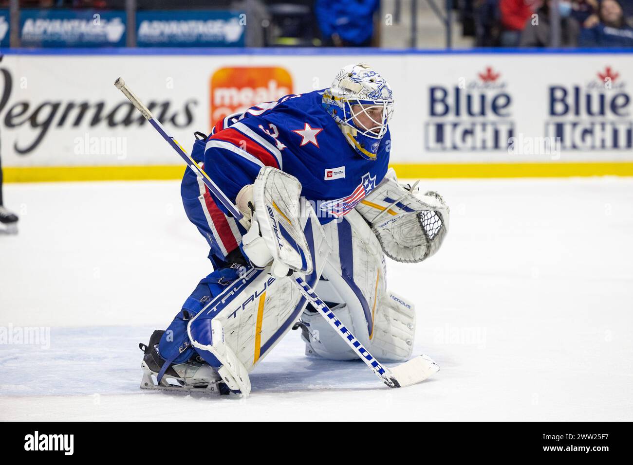 March 20th, 2024: Rochester Americans goaltender Dustin Tokarski (34 ...