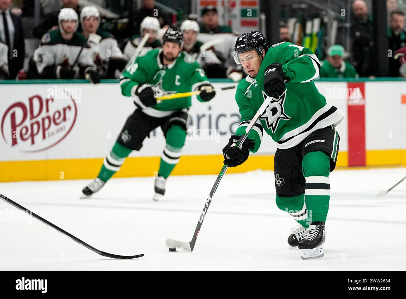 Dallas Stars center Logan Stankoven takes a shot during an NHL hockey ...