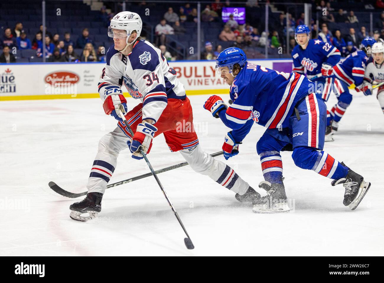 March 20th, 2024: Hartford Wolf Pack forward Adam Edstrom (34) skates ...