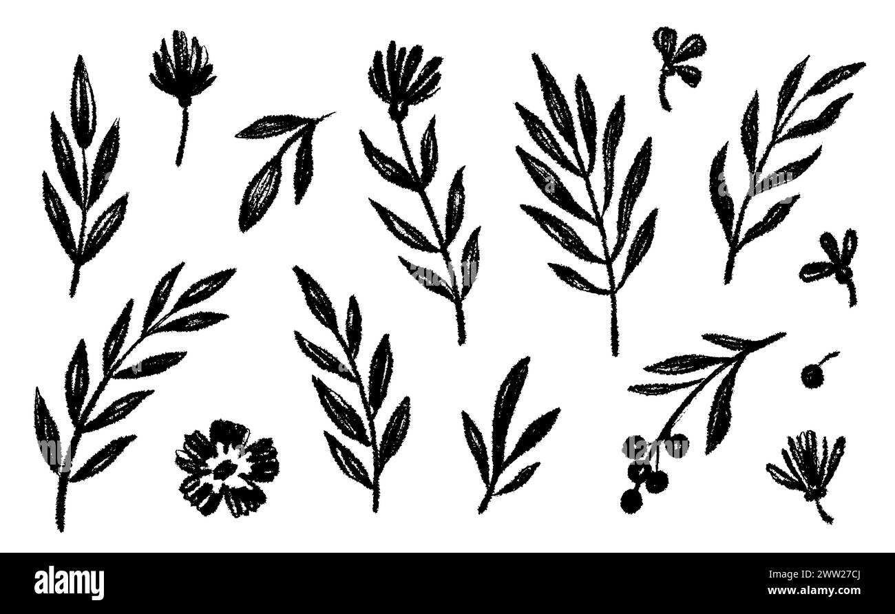 Leaf brush hand drawn ink elements. Black crayon texture brush abstract ...