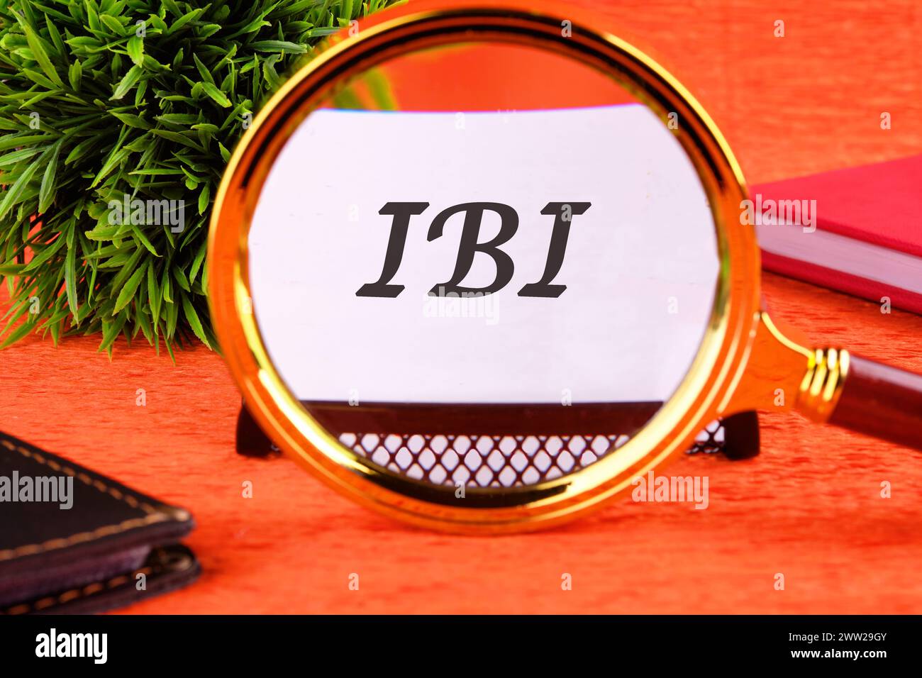 IBI symbol through a magnifying glass on a business card. Business ...