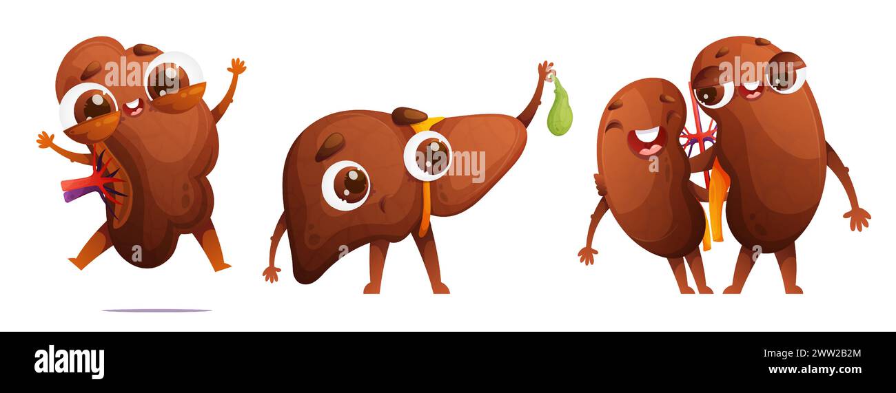 Set of cute characters of human organs in cartoon style. Couple of buds ...