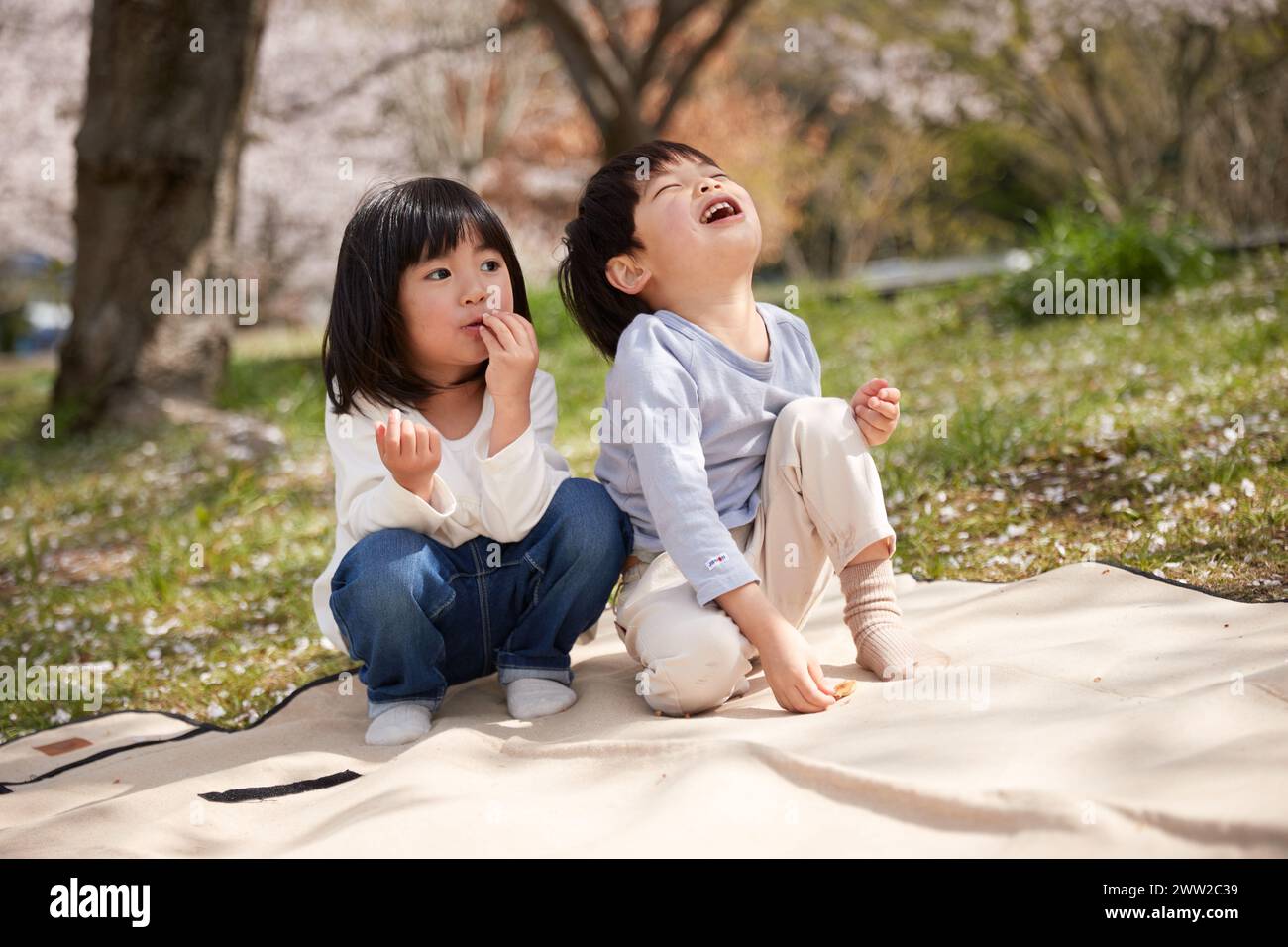 Two children sitting on a blanket Stock Photo - Alamy
