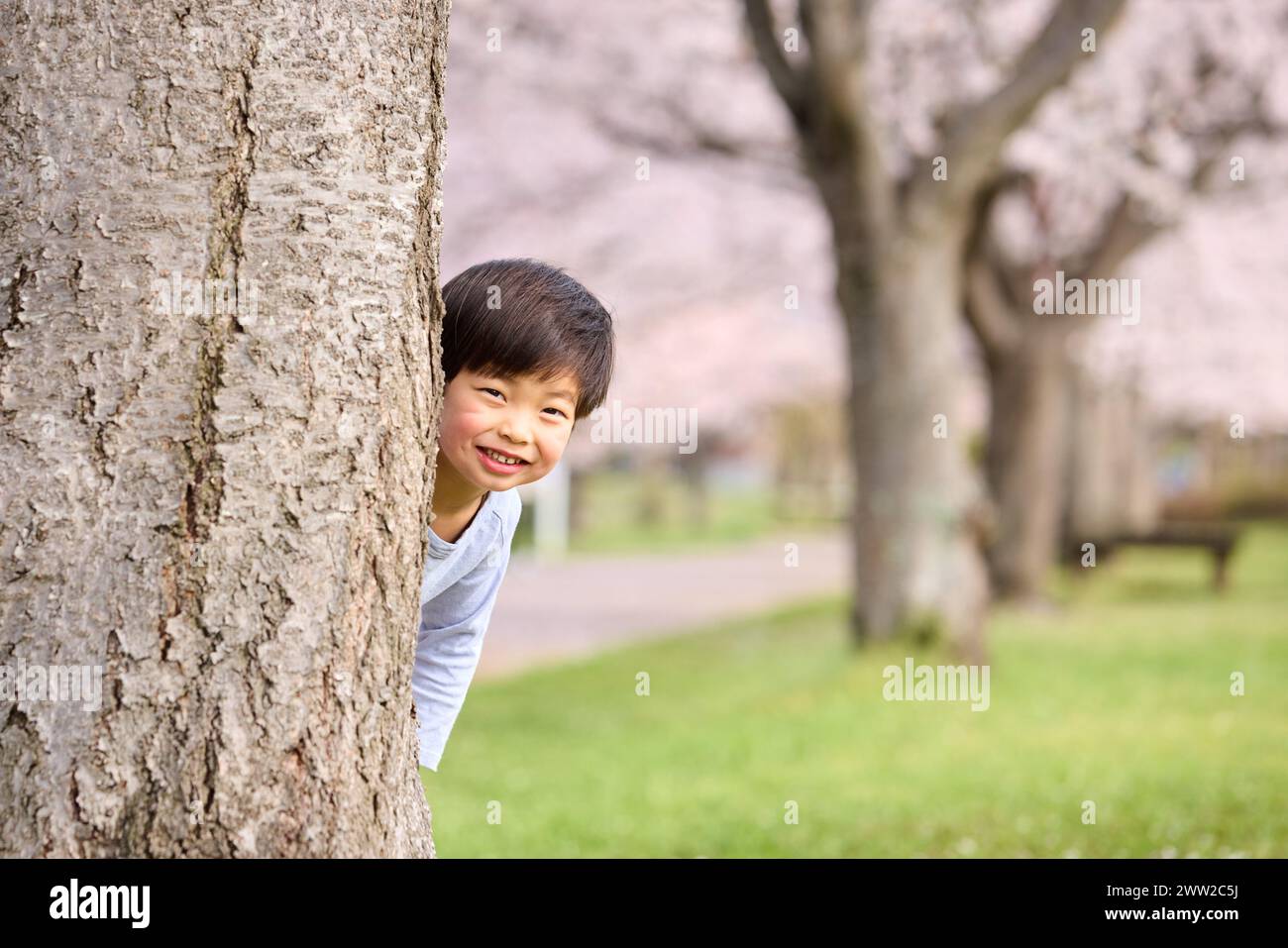 A young boy peeking out from behind a tree Stock Photo - Alamy
