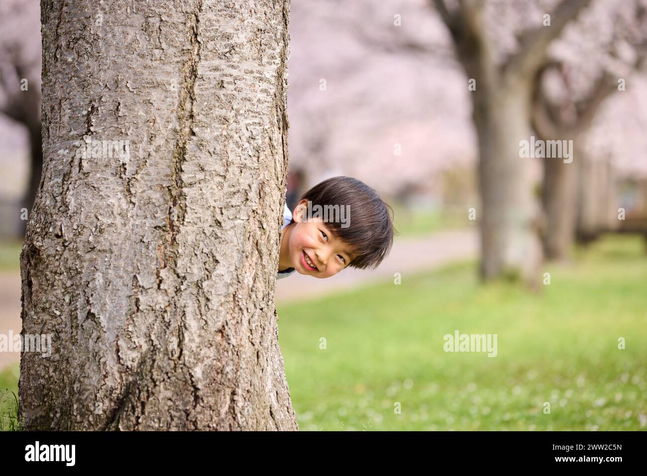 A young boy peeking out from behind a tree Stock Photo - Alamy